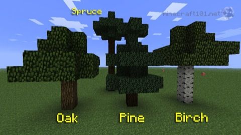 Trees in Minecraft | Minecraft 101